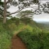Moalepe Trail Hike - Kauai, Hawaii | Kauai.com