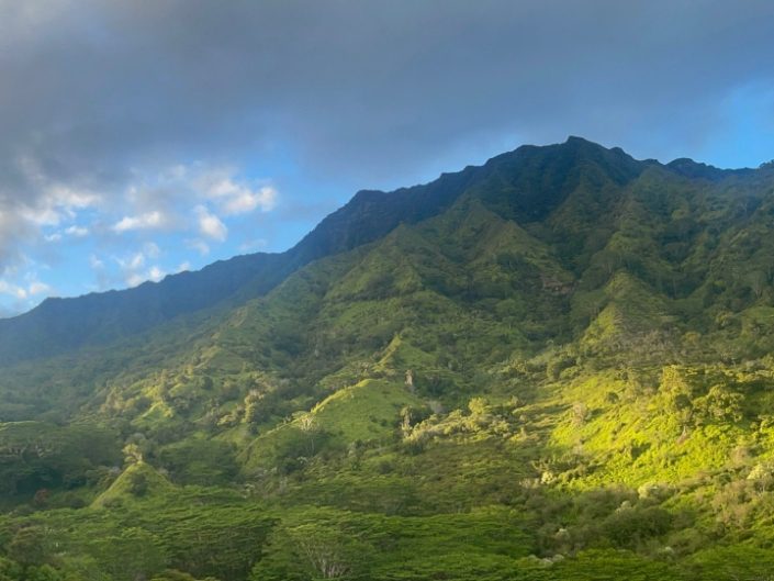 Moalepe Trail Hike - Kauai, Hawaii | Kauai.com