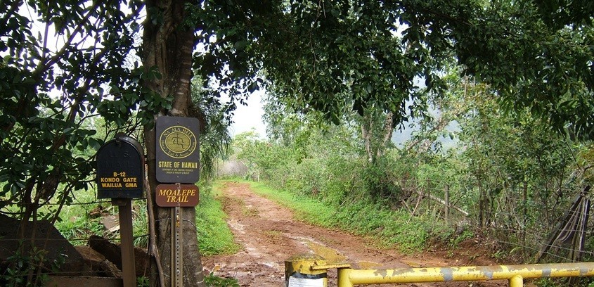 Moalepe Trail Hike - Kauai, Hawaii | Kauai.com