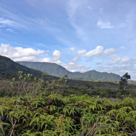 Tropical Trail Waterfall Horseback Ride 2 Hour - Kauai.com