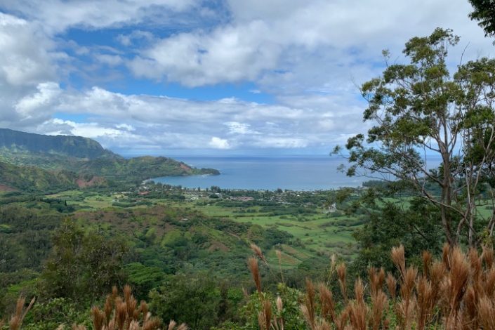Okolehao Trail Hike - Hanalei Kauai, Hawaii | Kauai.com
