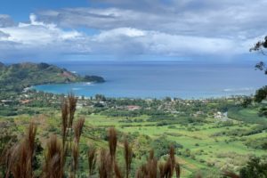 Okolehao Trail Hike - Hanalei Kauai, Hawaii | Kauai.com