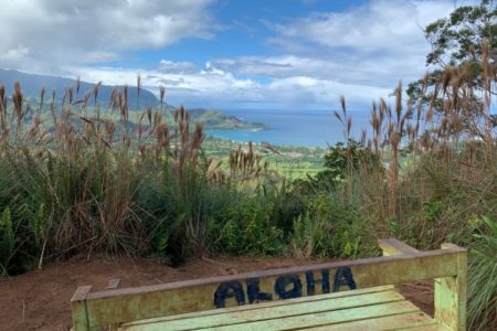 Okolehao Trail Hike - Hanalei Kauai, Hawaii | Kauai.com