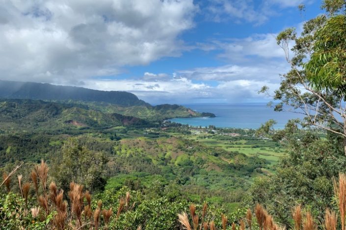 Okolehao Trail Hike - Hanalei Kauai, Hawaii | Kauai.com