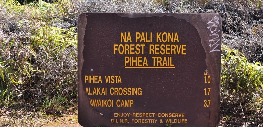 Pihea Kilohana ( Alakai Swamp Trail) Kauai Hawaii | Kauai.com