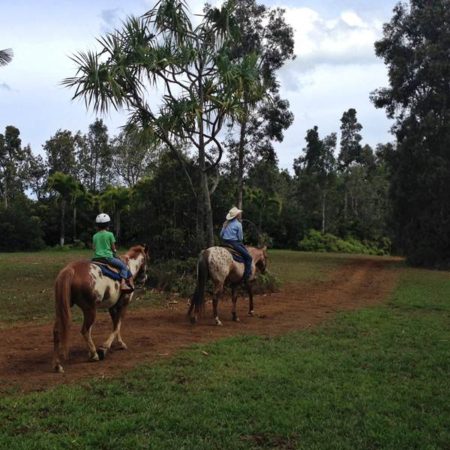 Tropical Trail Waterfall Horseback Ride 2 Hour - Kauai.com