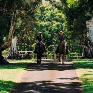 Tropical Trail Waterfall Horseback Ride - KAUAI.com