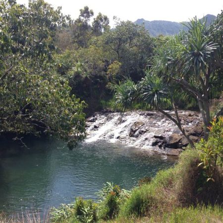 Tropical Trail Waterfall Horseback Ride 2 Hour - Kauai.com