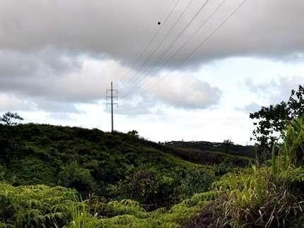 Powerline Trail | Kauai.com